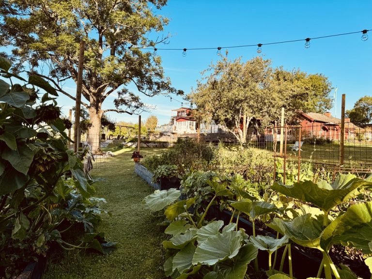 Mat & Dryck | Sund Nergården